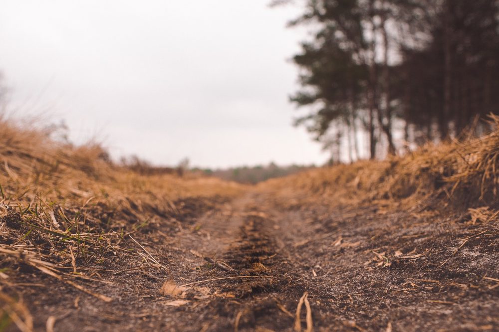 Innova Toxic Soil Facility - Beautiful Altona